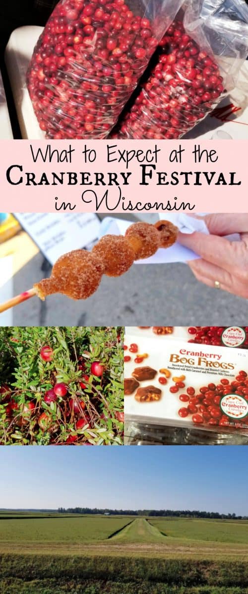 The Cranberry Festival I Wasn't Expecting: Tips for Visiting