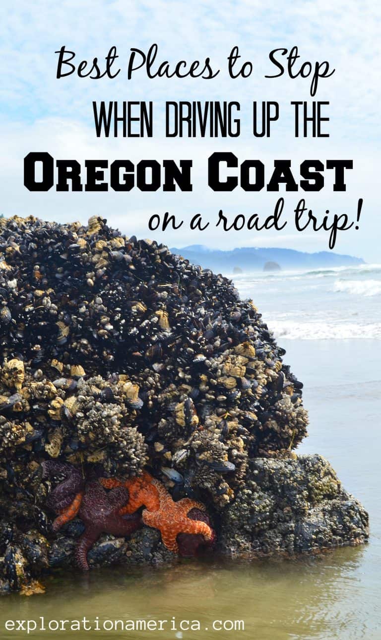 Best Places to Stop when Driving Up the Oregon Coast on a Road Trip