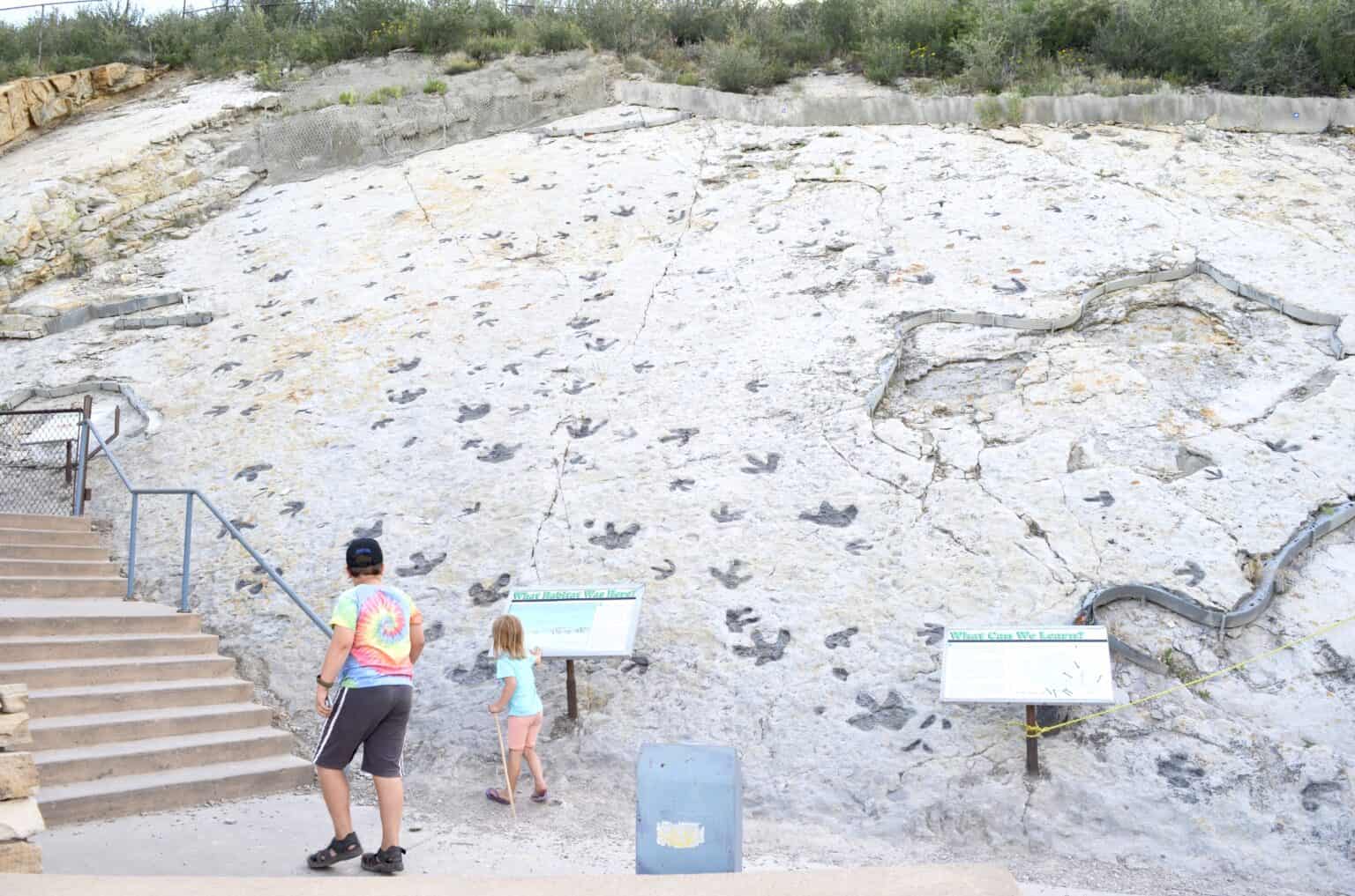 Where to Find Dinosaur Footprints in the United States