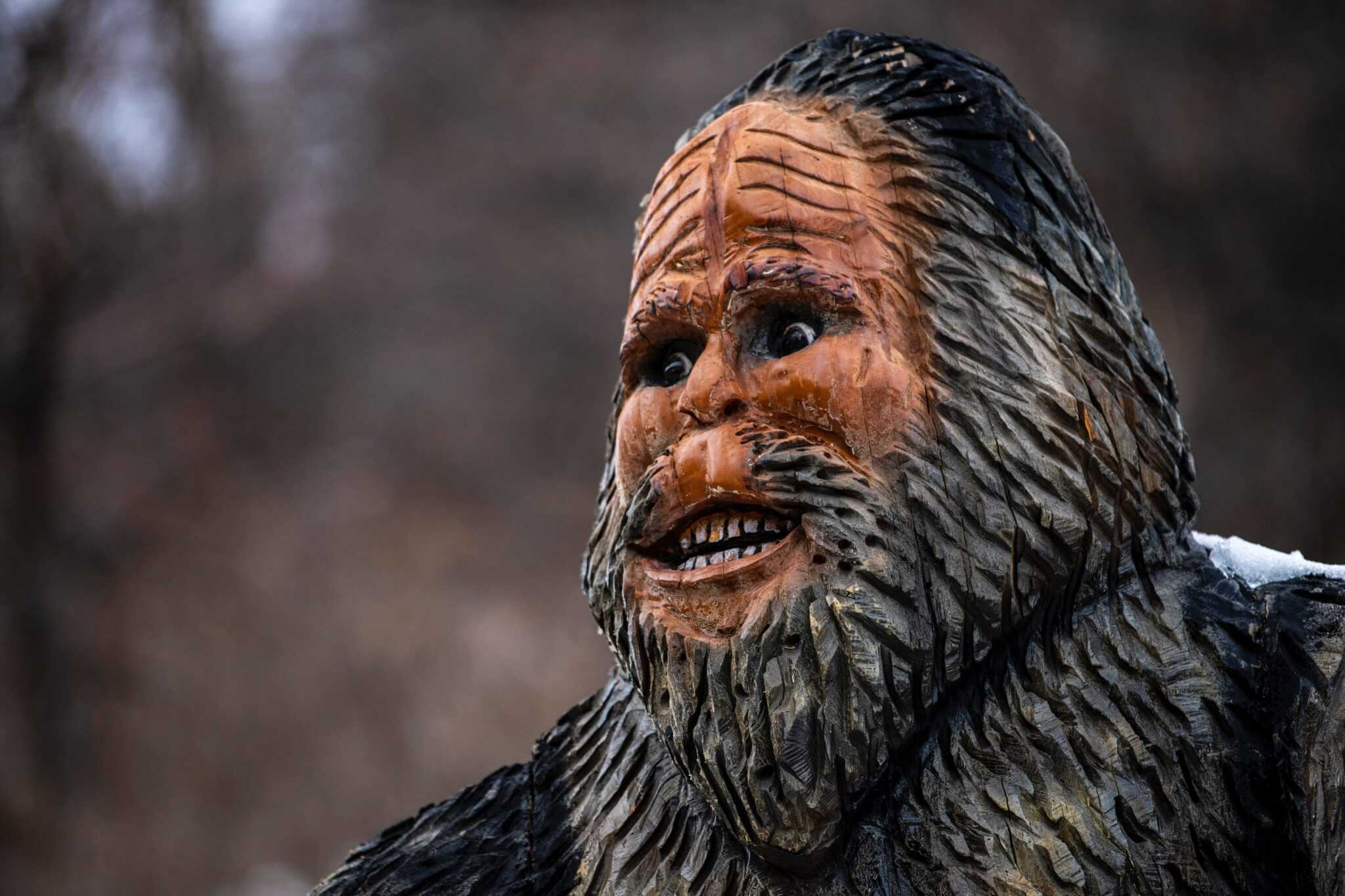 Chasing the Trail of Bigfoot Museums in America - Exploration America