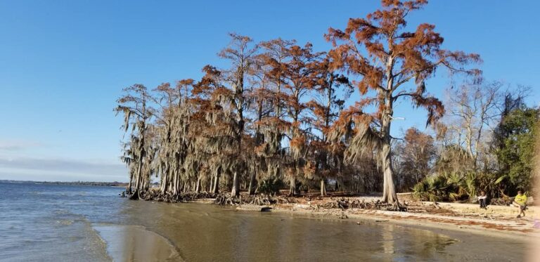 Coastal Beaches in Louisiana - Exploration America